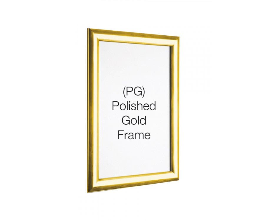 25mm Snap Frames - Polished Gold - Snap Frames – BHMA