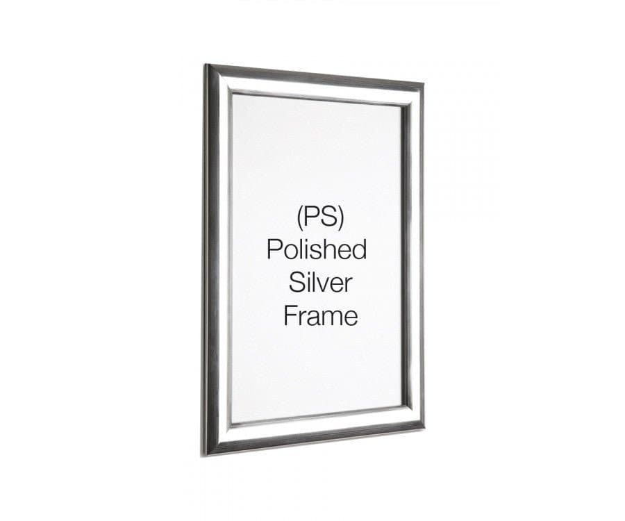 25mm Snap Frames - Polished Silver - Snap Frames – bhma